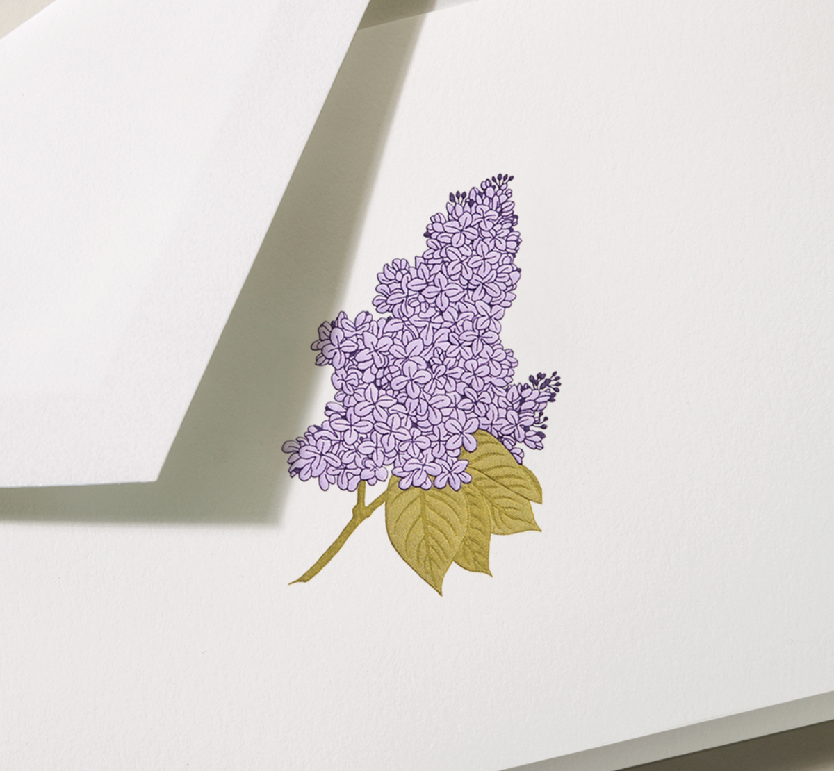 LILAC NOTE – Navita's Hallmark